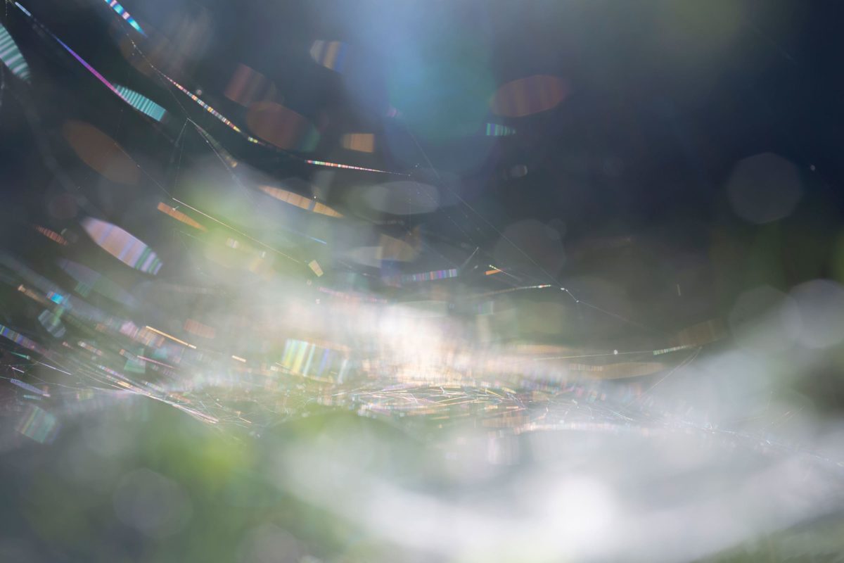 torch press – torch pressはインディペンデントのブックレーベルです。2013年12月より出版物の制作をスタートしました ...