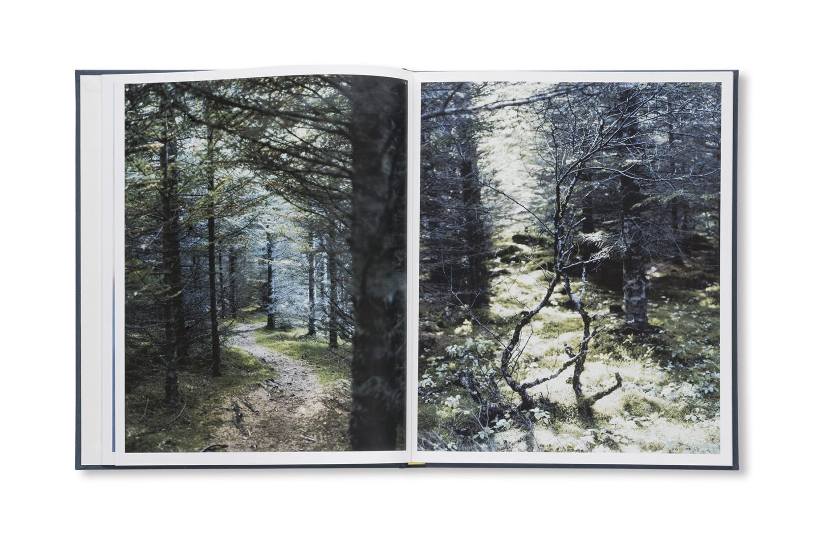 spectrum – torch press