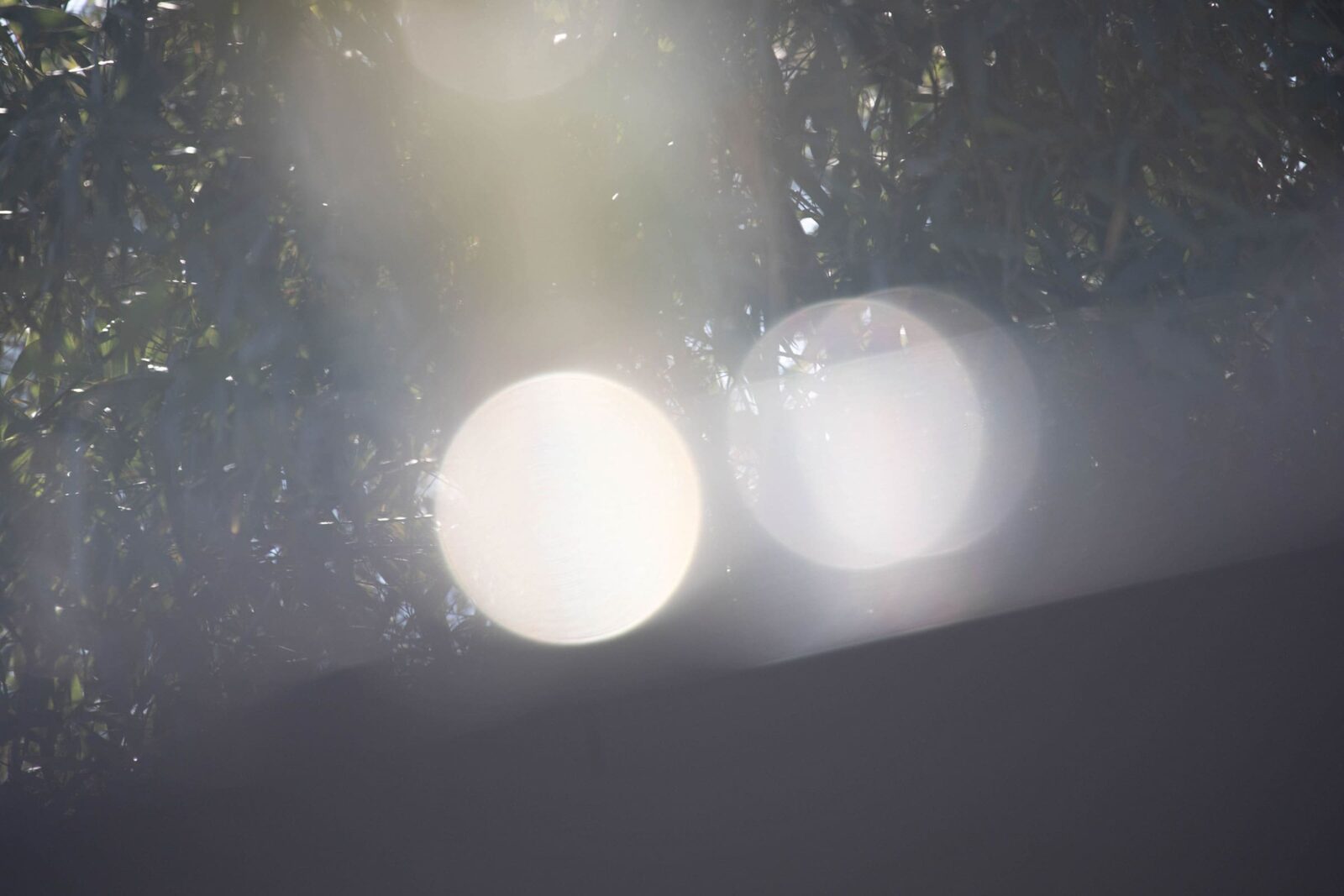 torch press – torch pressはインディペンデントのブックレーベルです。2013年12月より出版物の制作をスタートしました ...